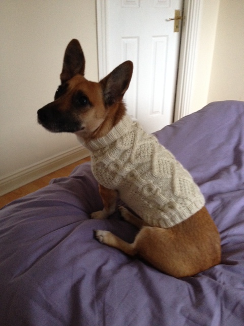 Aran Dog Coats | The Donegal Shop